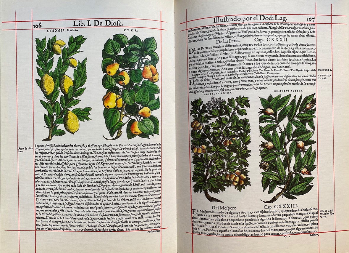 Index of /Dioscorides/Dioscorides.hyperesources/