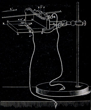 Louis-Antoine Ranvier (1835-1922)